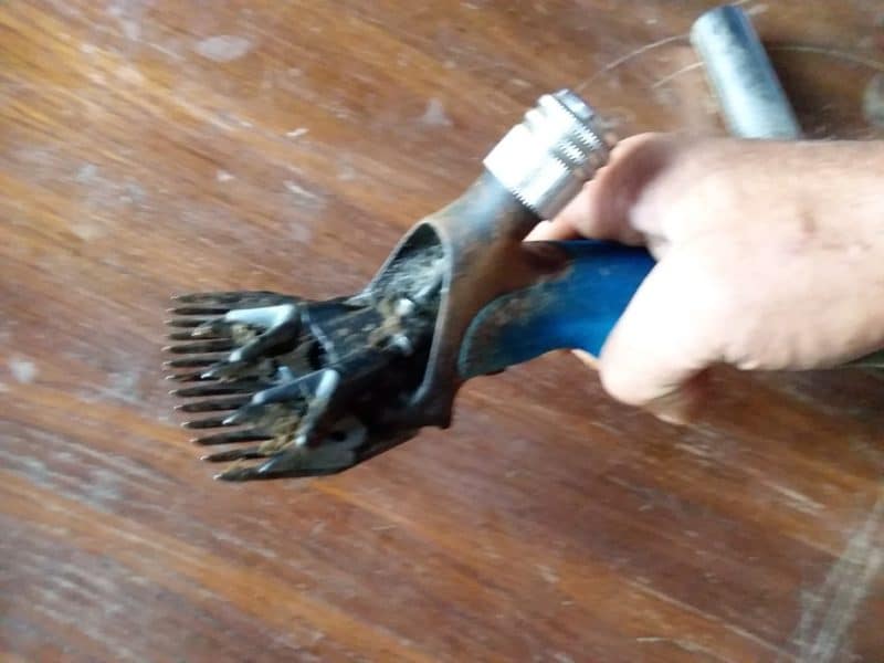 New To Shearing Sheep? How To Set The Combs And Cutters – Family Farm ...