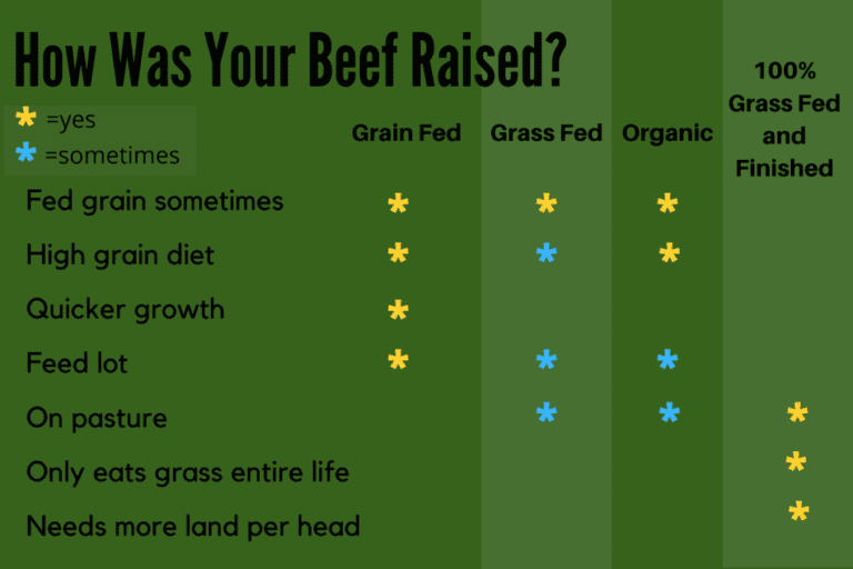 Beef: Grass Fed Vs. Grain Fed, Differences For The Cattle And The ...